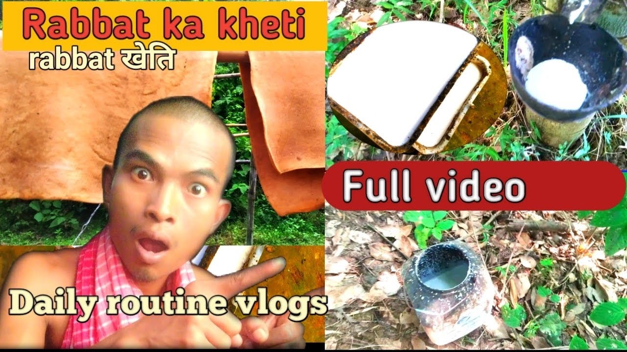 How natural Rubber is Made from Trees | Rubber Harvesting and ...