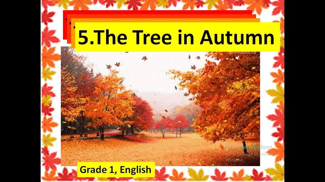 Le-5-The tree in Autumn , Grade 1, English , full explanation in ...