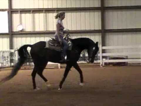 BeyBerry by Bay Area Equestrian Center - YouTube