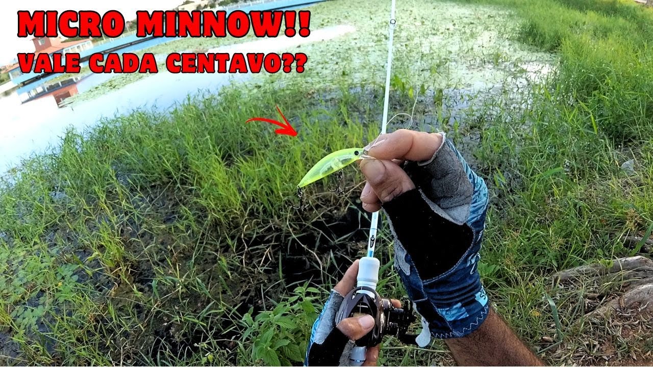 MICRO MINNOW... A ISCA QUE VALE CADA CENTAVO!! PESCARIA ULTRALIGHT ...