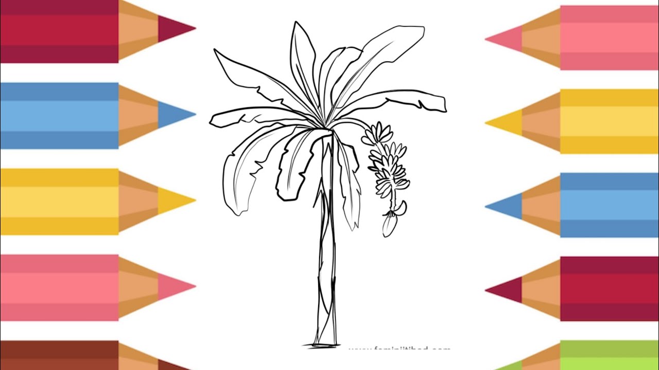 how to draw banana tree 🌴 how to colour Banana 🍌 tree 🌴 kids drawing ...