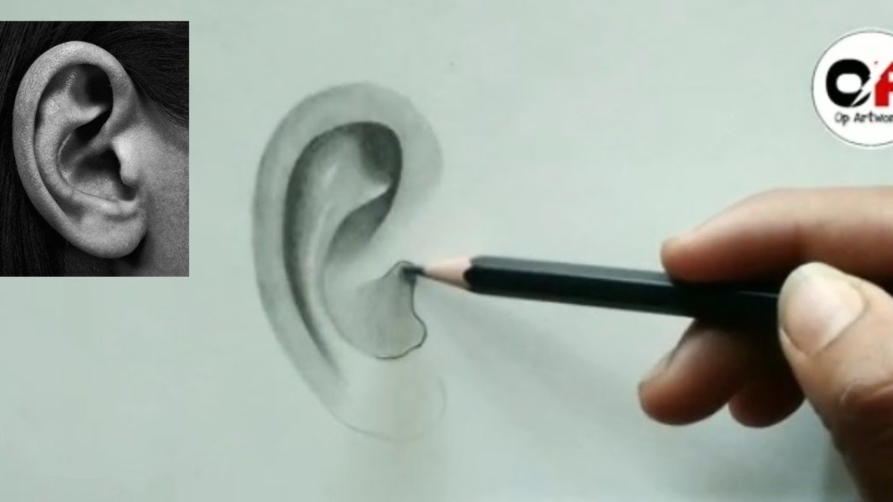 Full Tutorial Of Realistic Ear For Beggineer !op artworks - YouTube