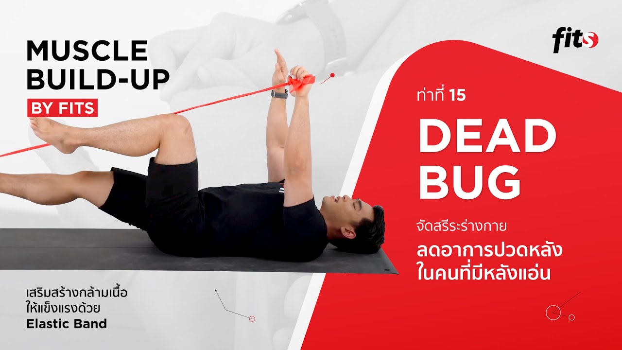 ท่าที่ 15 Dead Bug - จัดสรีระร่างกาย ลดอาการปวดหลัง - YouTube