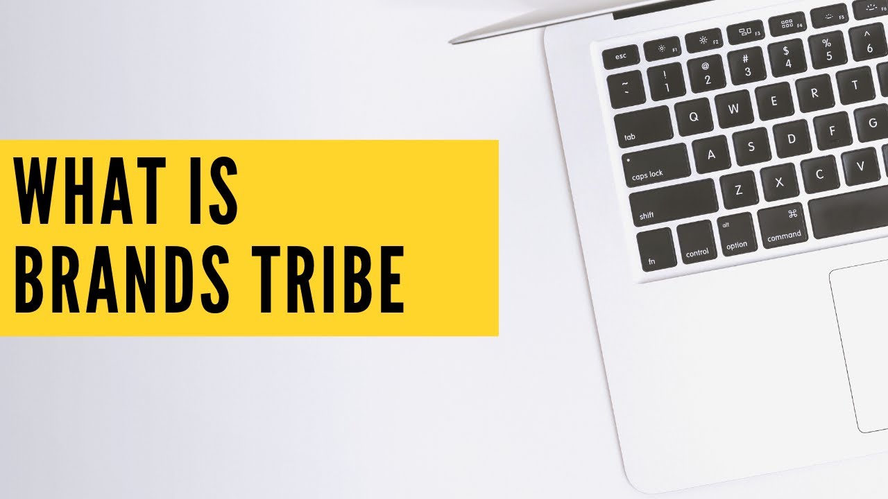 What actually is Brands Tribe - YouTube