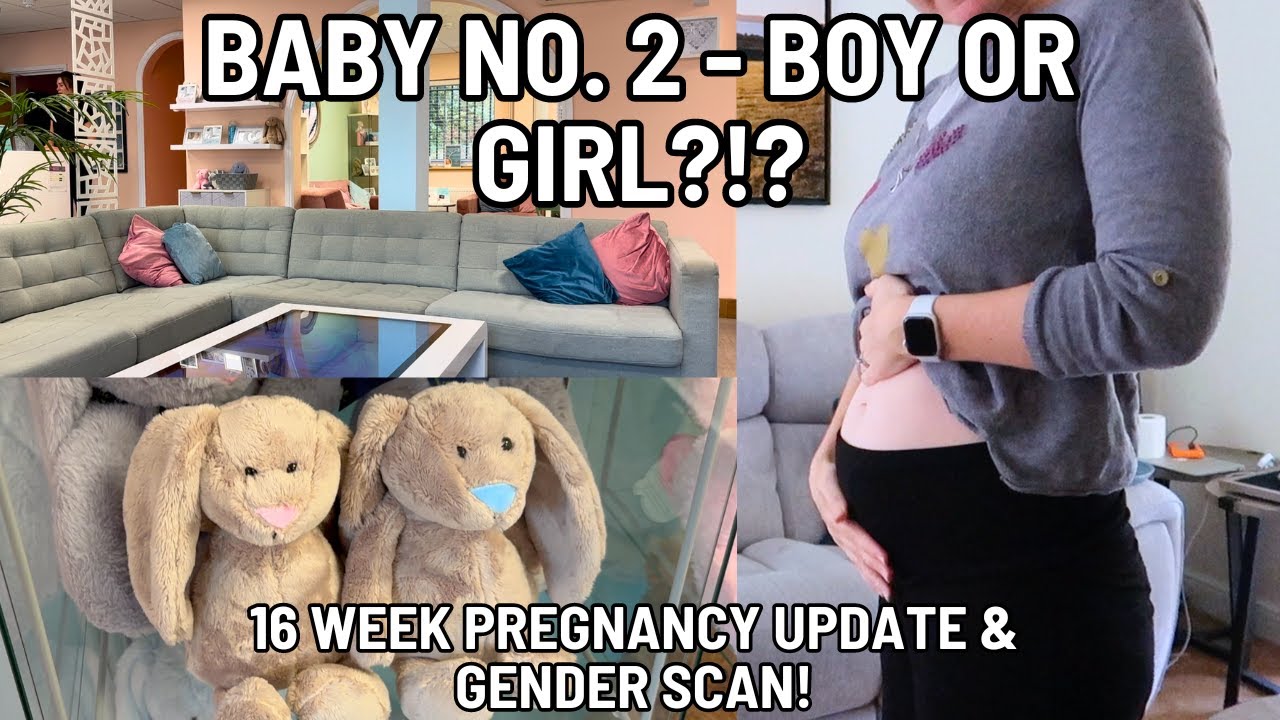 IS BABY NO.2 A GIRL OR A BOY?!?! | 16 Week Pregnancy Update & Gender ...