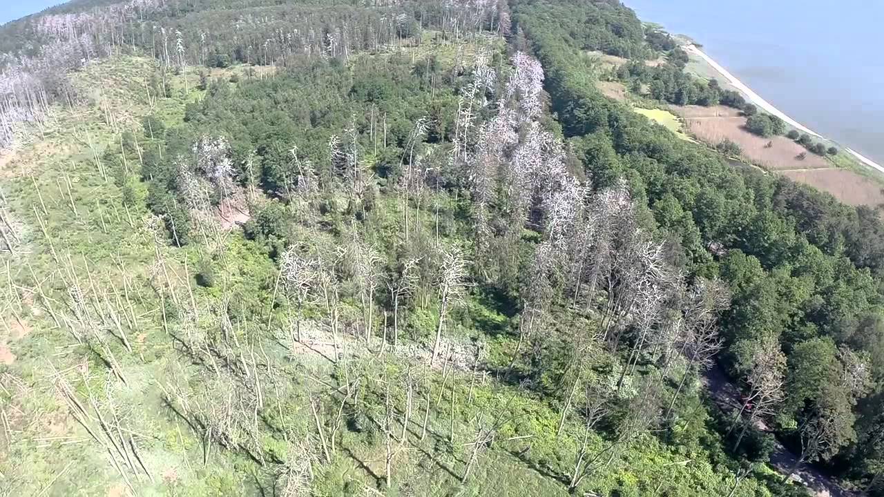 Kormoranai Juodkrante Lietuva - YouTube