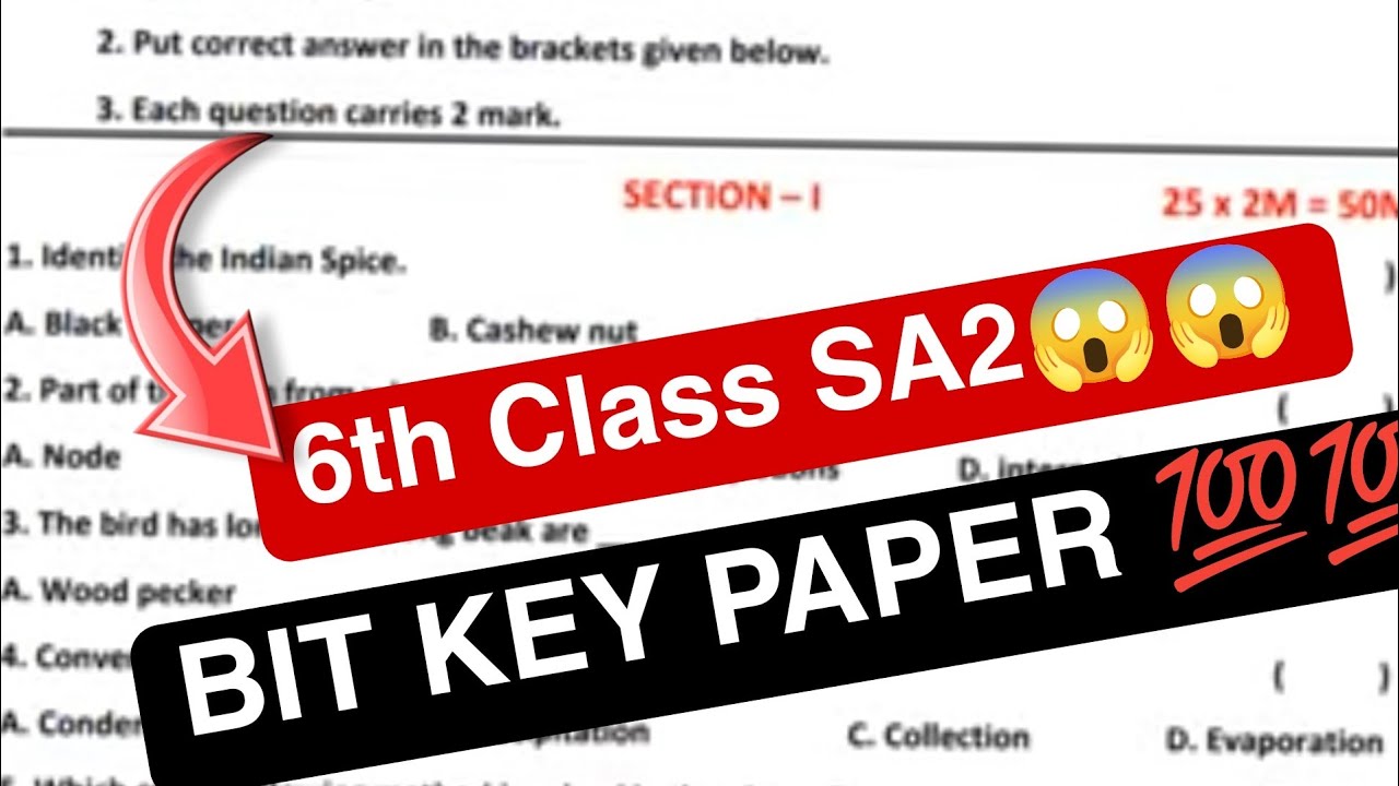 Ap 6th Class Sa2 Science Leaked Real Paper 💯😱 || 6th class Bit paper ...