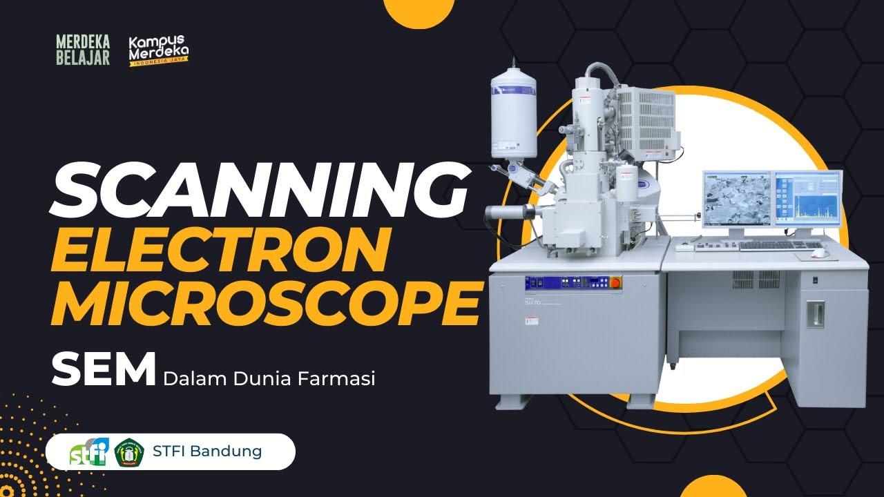 Alat SEM karakterisasi & Preformulasi bahan baku #farmasi | STFI ...