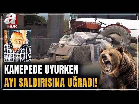İzmir'de kanepede uyurken ayı saldırısına uğrayan adam hayatını kaybetti! | A Haber