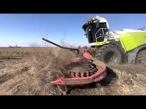 Chopping asparagus with claas 990/kemper 490 plus - YouTube