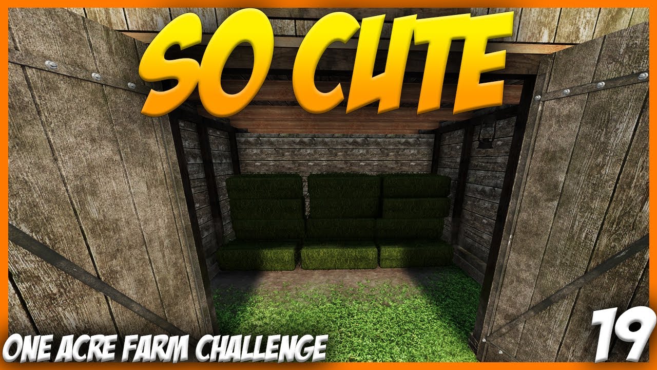 They'r So SMALL - FS22 No Mods One Acre Challenge Part 19 - YouTube