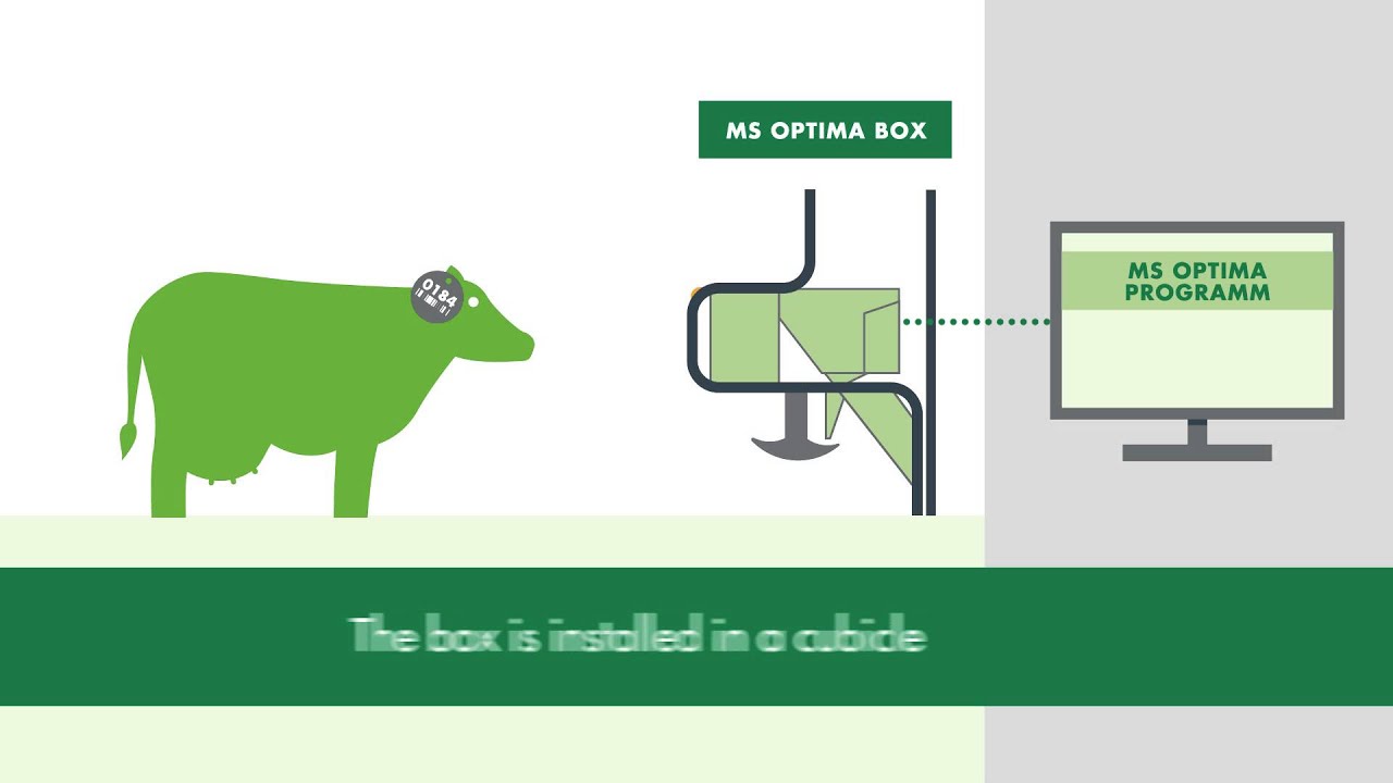 MS Optima Box (English) - YouTube