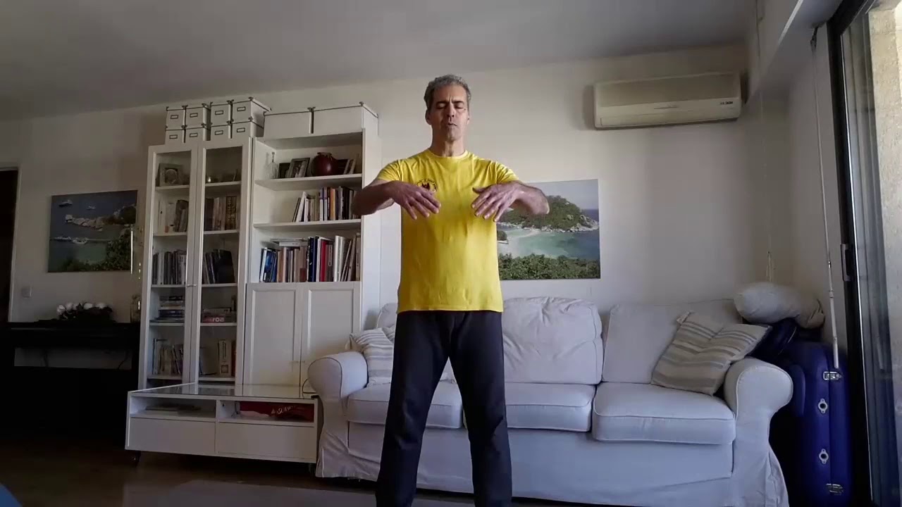 08 " Vitality Qigong " Méditation débout, posture de l'arbre / Standing ...