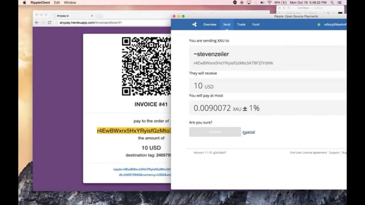 How to Use AnyPay - YouTube