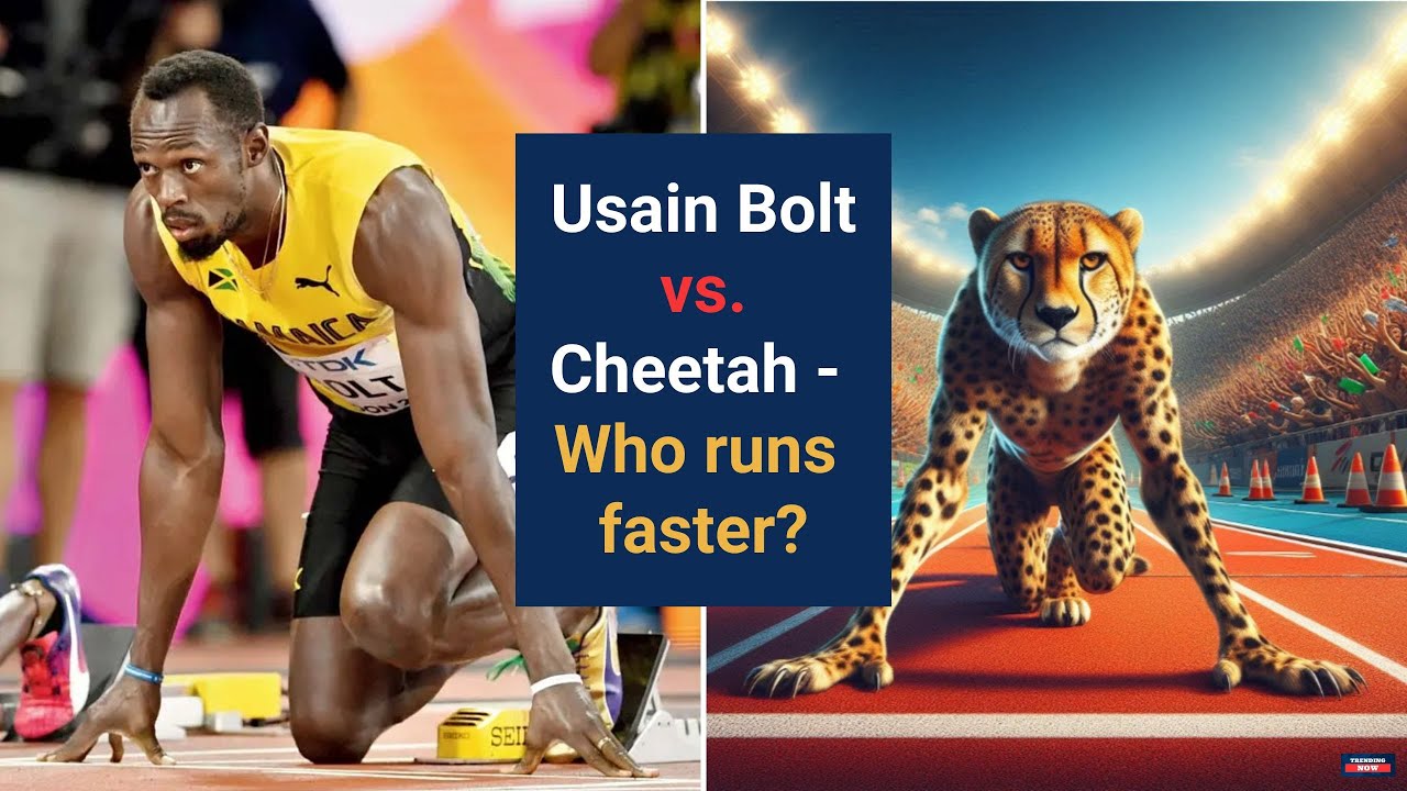 Usain Bolt vs. Cheetah - Running Speed Comparison - YouTube