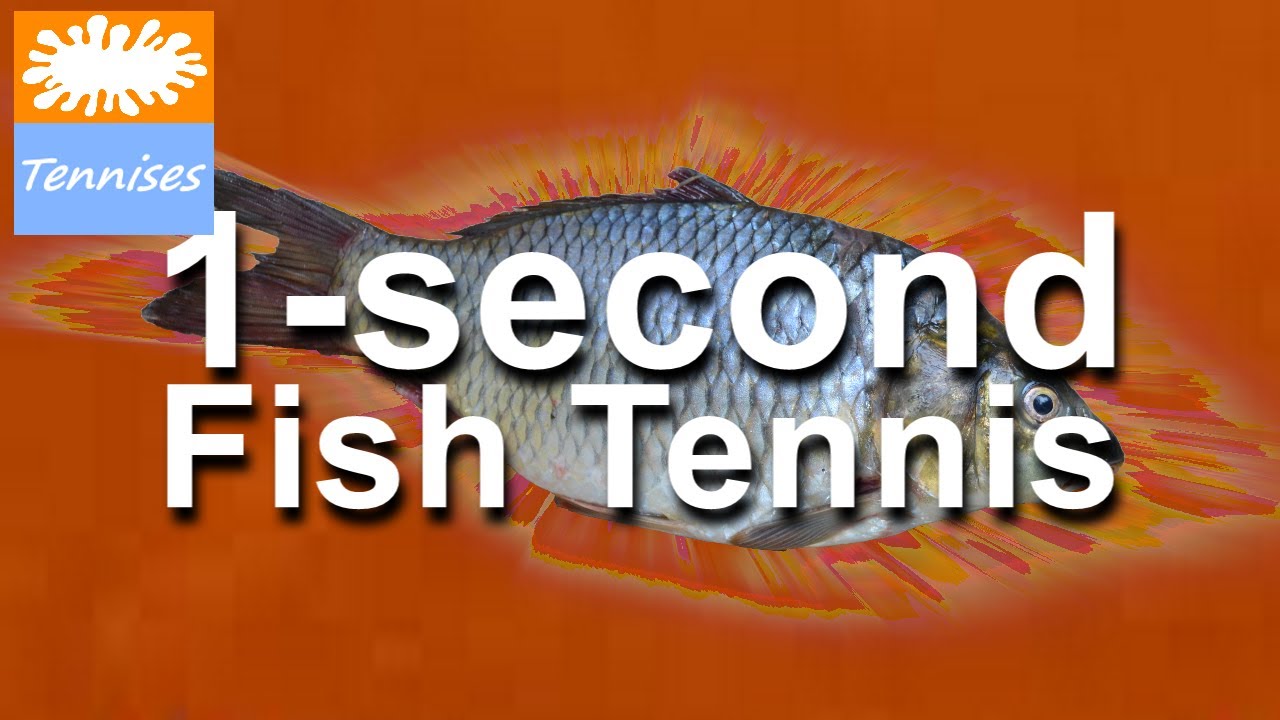 The 1-second Fish Tennis: Full match - YouTube