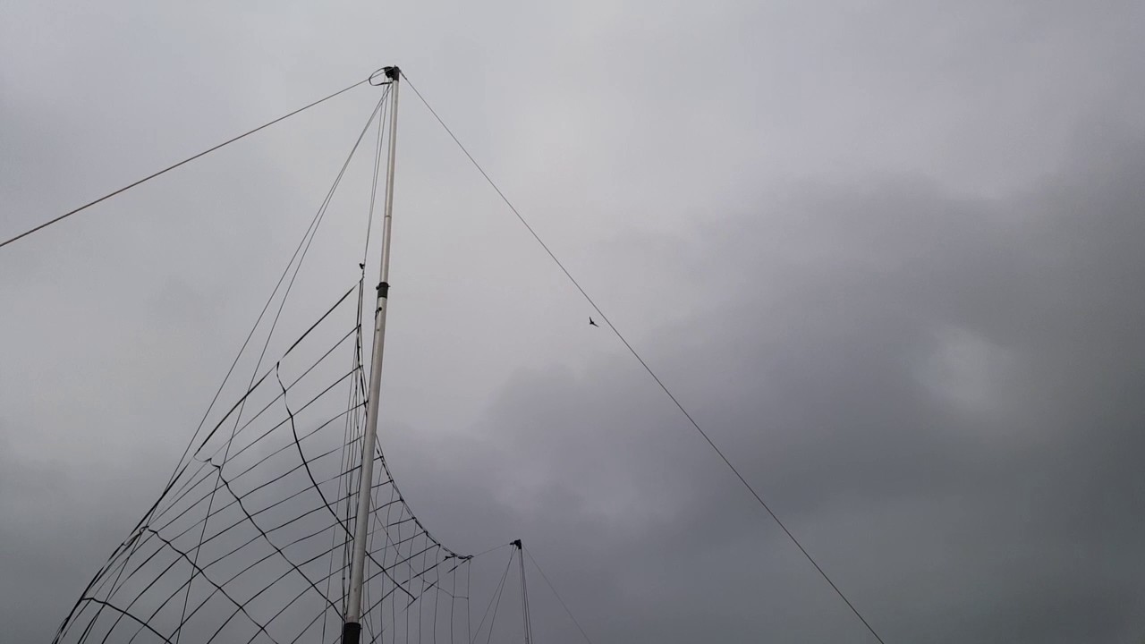 Video web Swift 02 - YouTube