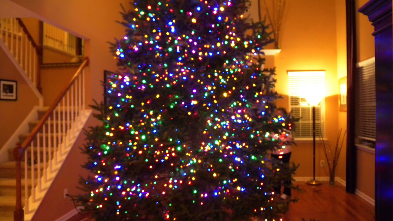 2017 Christmas Tree Time Lapse - YouTube