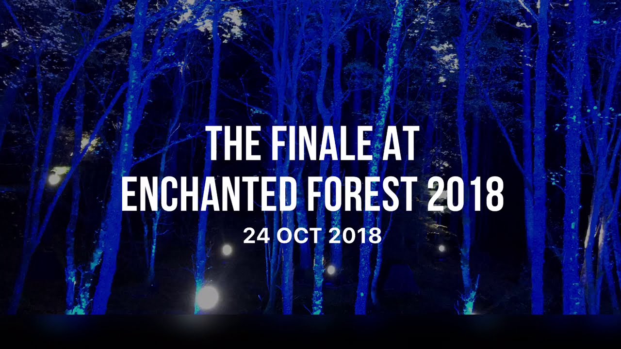 Enchanted Forest Finale - YouTube