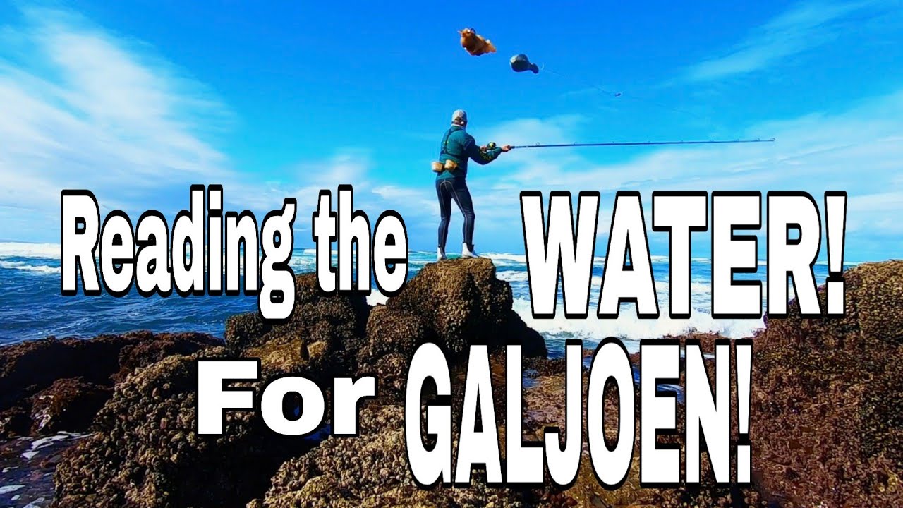 How to READ THE WATER FOR GALJOEN! How to identify where Galjoen feed ...