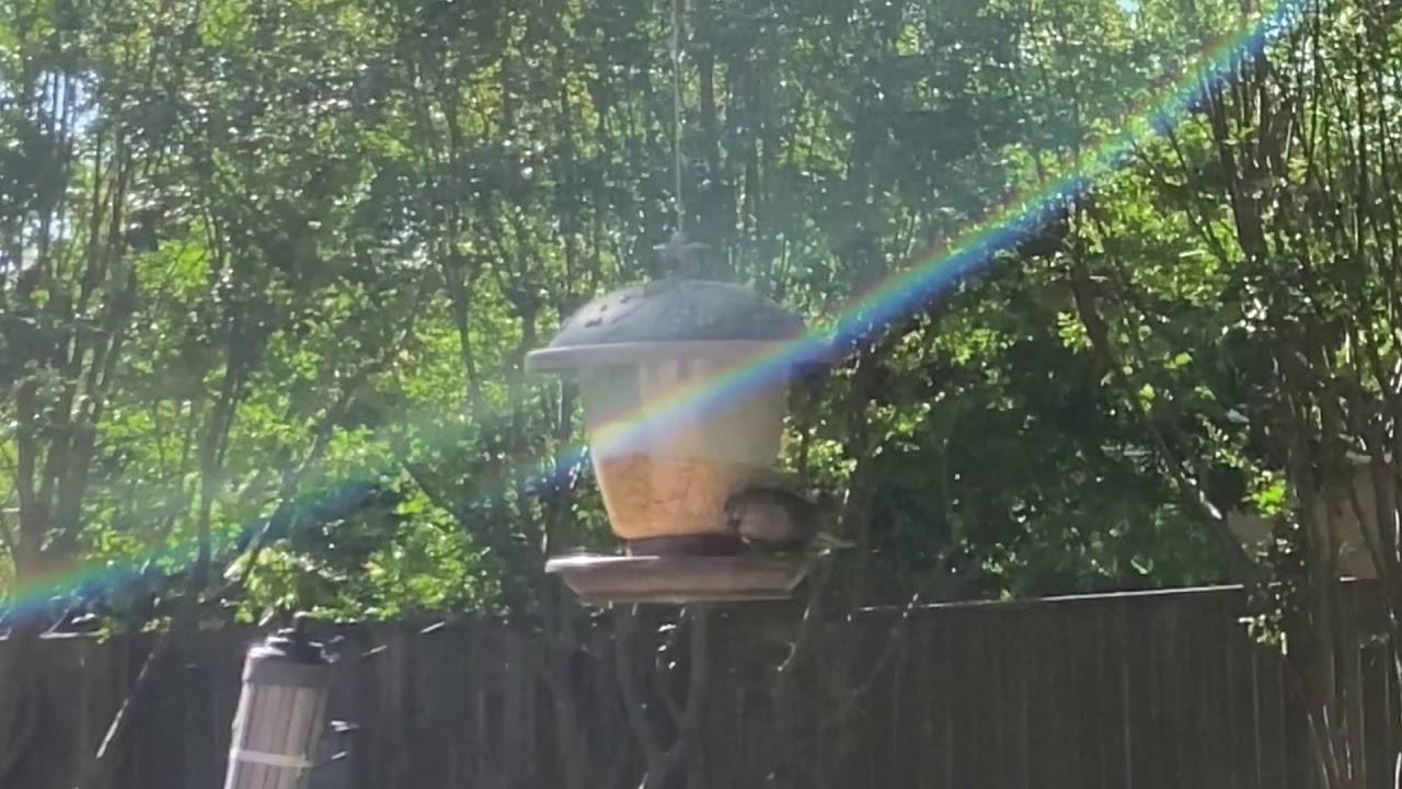 “Just breathe, this too shall pass” (Music credit: Sean Angus Watson ...