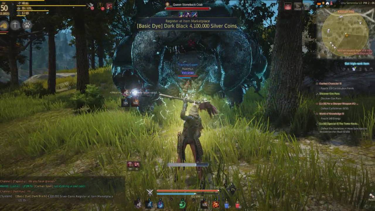 Faust Forest Queen Stoneback Crab Scroll Solo Witch Level 50 Black Desert Online - YouTube