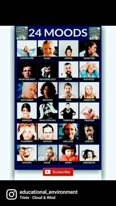 Types of human moods| psychology of human behavior| Personality psychology|Social psychology ...