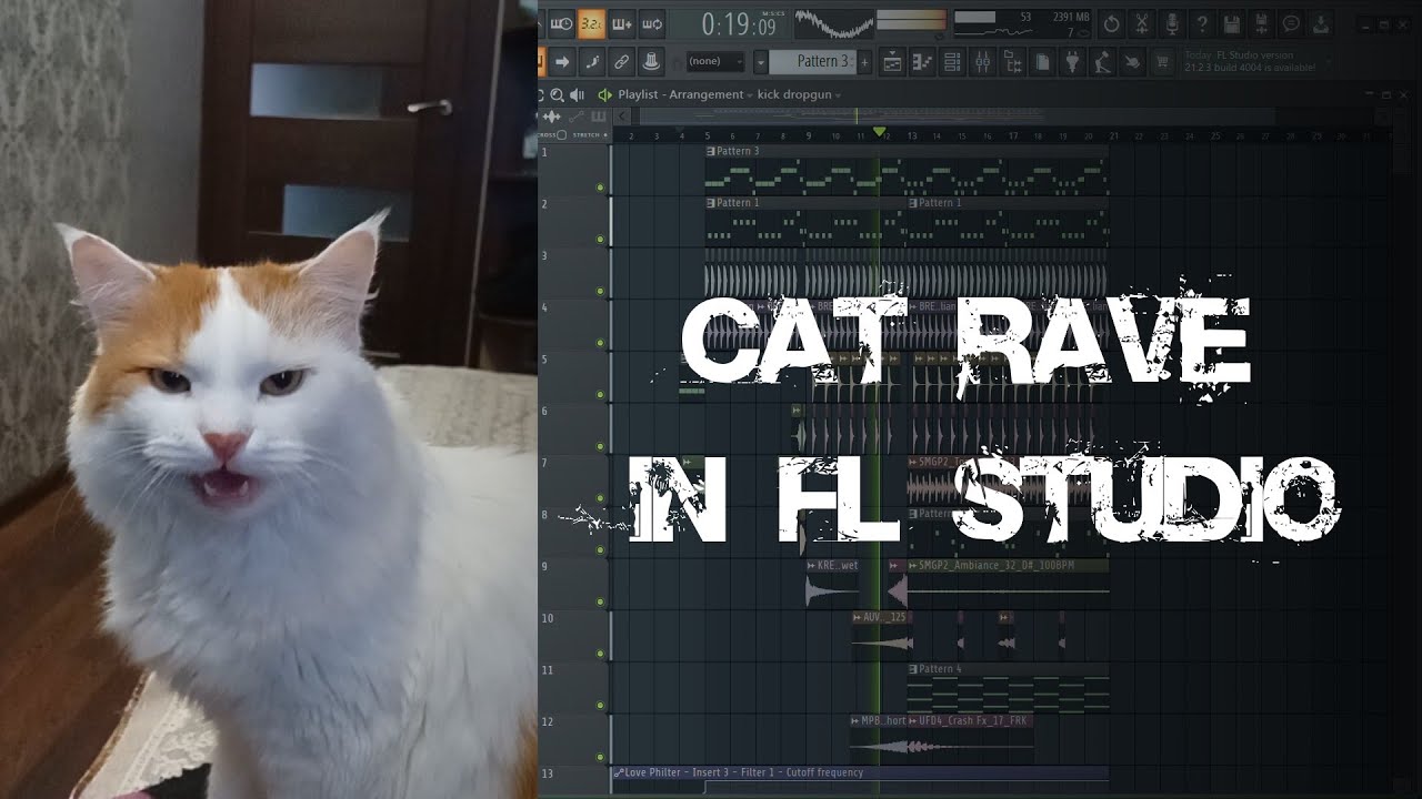 Продюсую свого кота | Cat rave in FL STUDIO | Dj Cat - YouTube