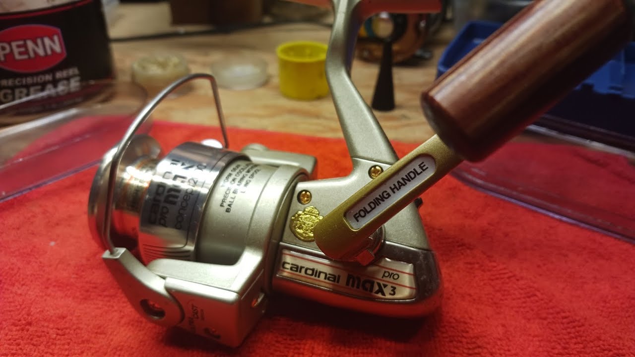 Abu Garcia Cardinal Pro Max 3 Ball Bearing Spinning Reel Service - YouTube