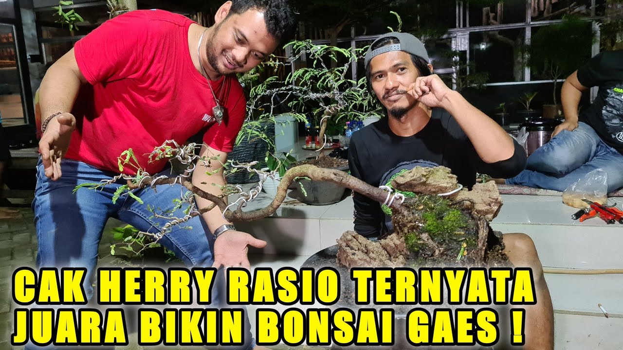 BERKEBUN BARENG CAK HERI RASIO ! Bikin bonsai tanaman asem - YouTube
