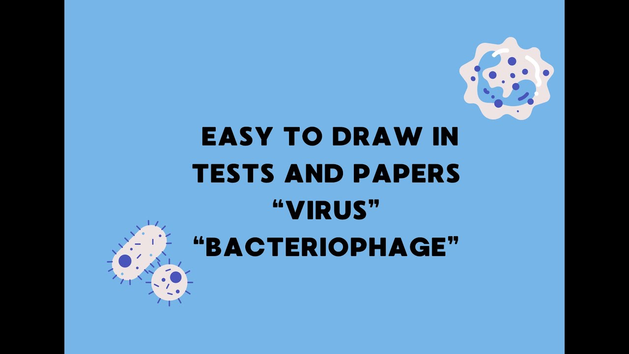 Easy to draw Virus Bacteriophage - YouTube