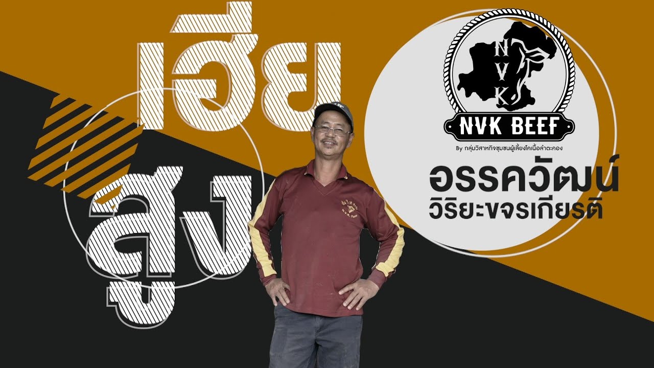 NVK Premium Beef part1/5 มุ่งสู่ตลาดเนื้อพรีเมี่ยม - YouTube