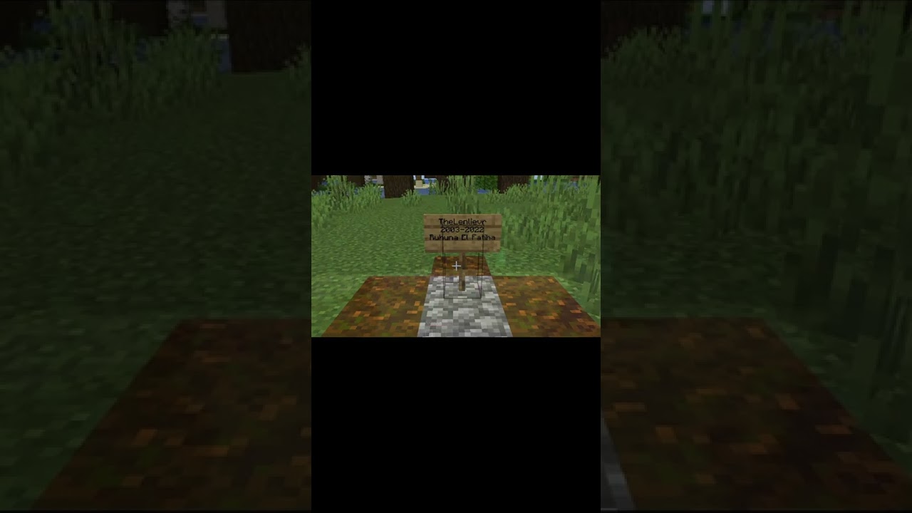 Minecraft Sad Edit #shorts #minecraft - YouTube