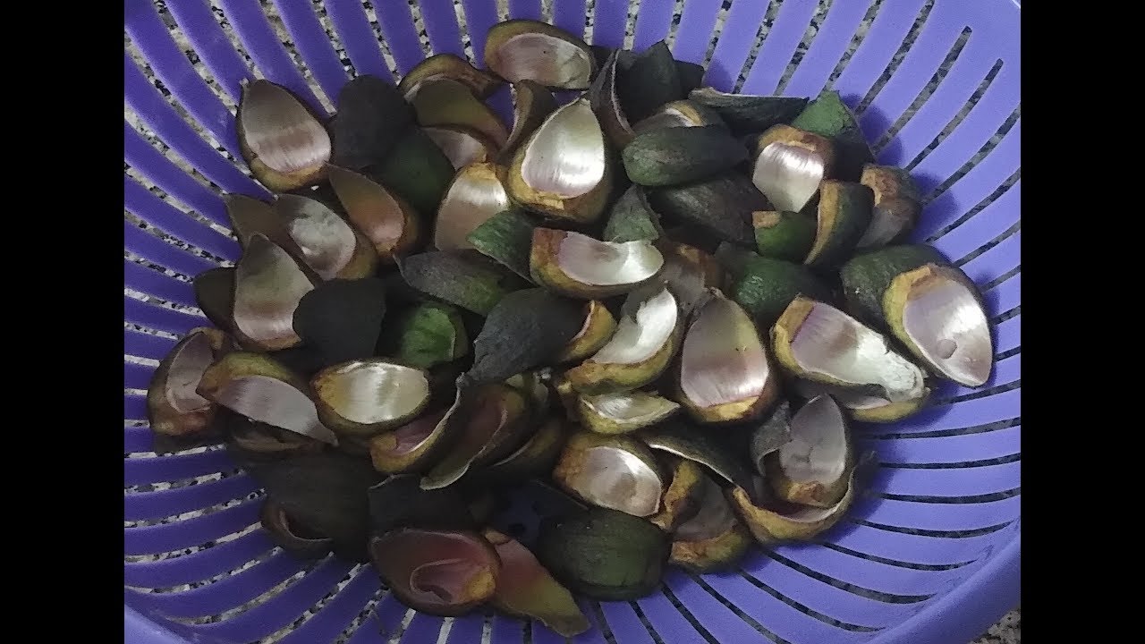 Semal ki Sabji | Simbaldode Recipe | Sabji Recipe | Simlotte Recipe ...