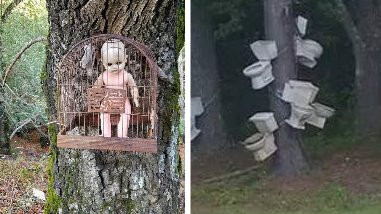 The Weirdest Things Ever Found in the Woods - YouTube