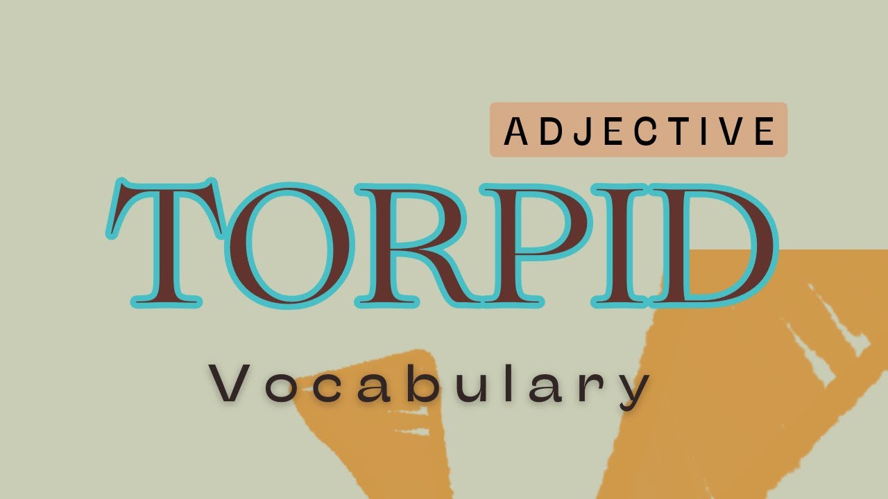 What is the meaning of Torpid? - YouTube