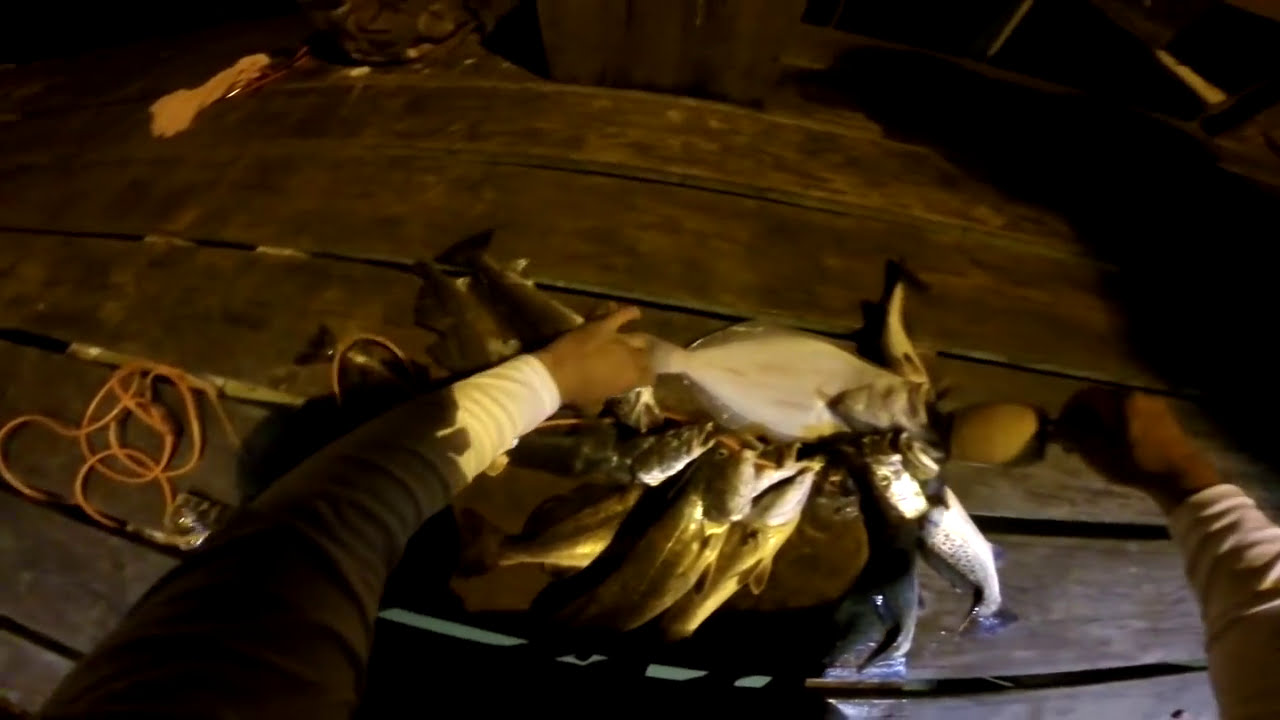 Trinity Bay fishing (Flounder and Speckled Trout) - YouTube