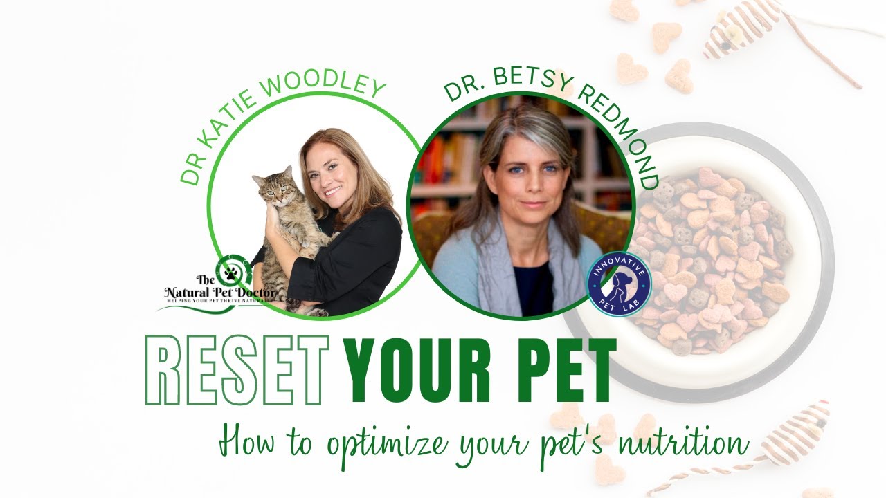 Reset Your Pet - How To Optimize Your Pet's Nutrition with Dr. Katie ...