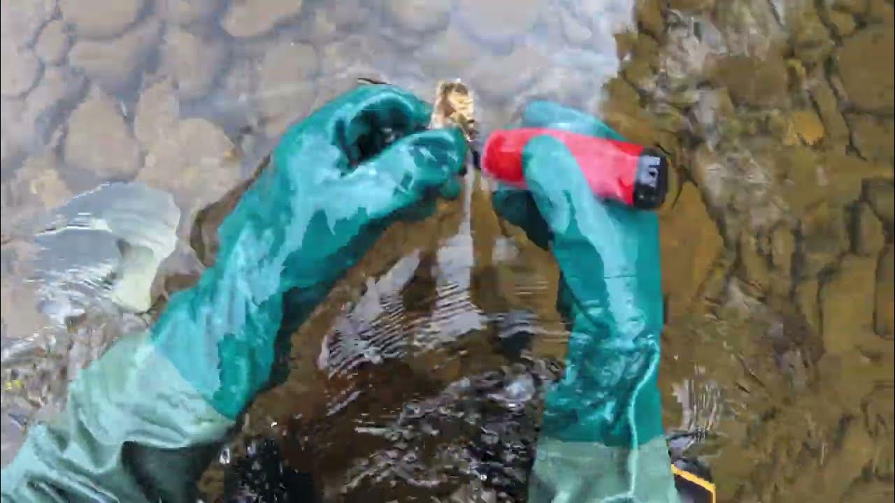 Metal Detecting a Creek in Pennsylvania January 03, 2025 - YouTube