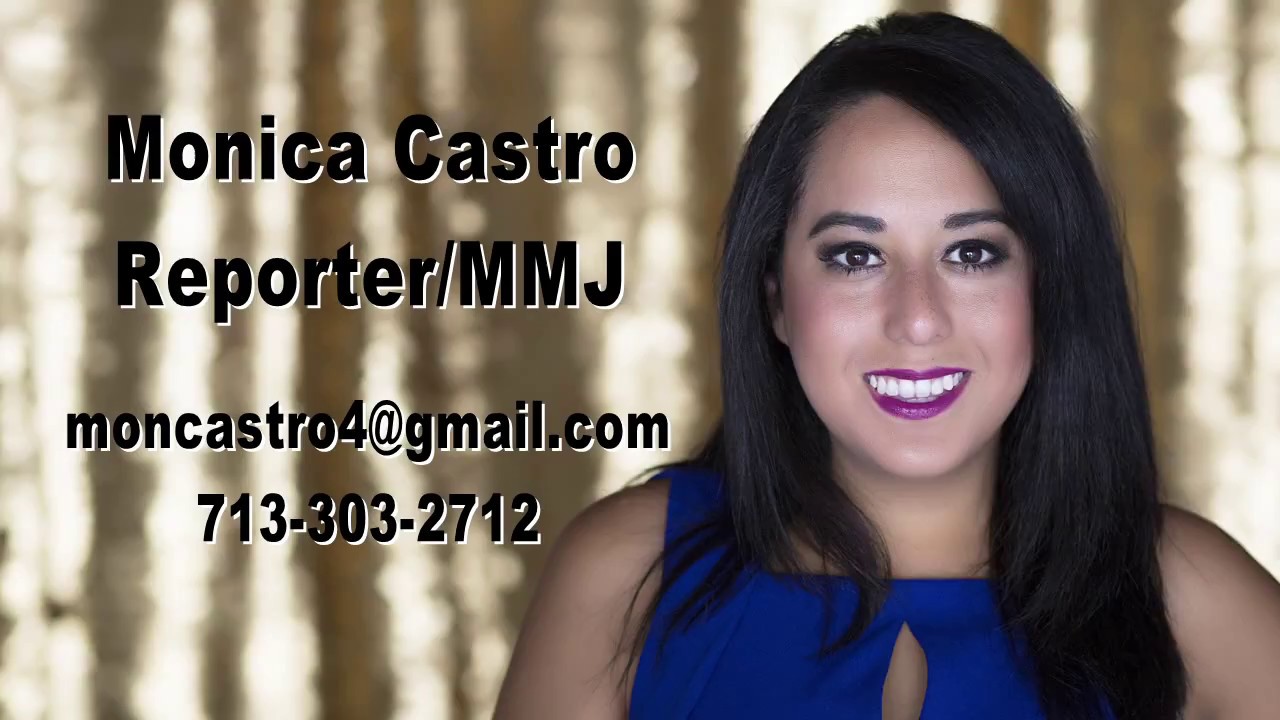 Monica Castro Reporter/MMJ News Reel 2017 - YouTube