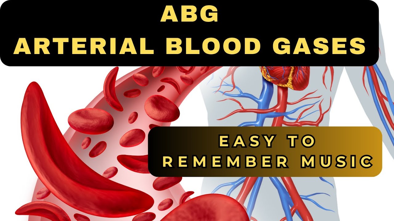 Only for nursing students! You will never forget the ABG!!🙀 👩‍⚕️ 💉 ...