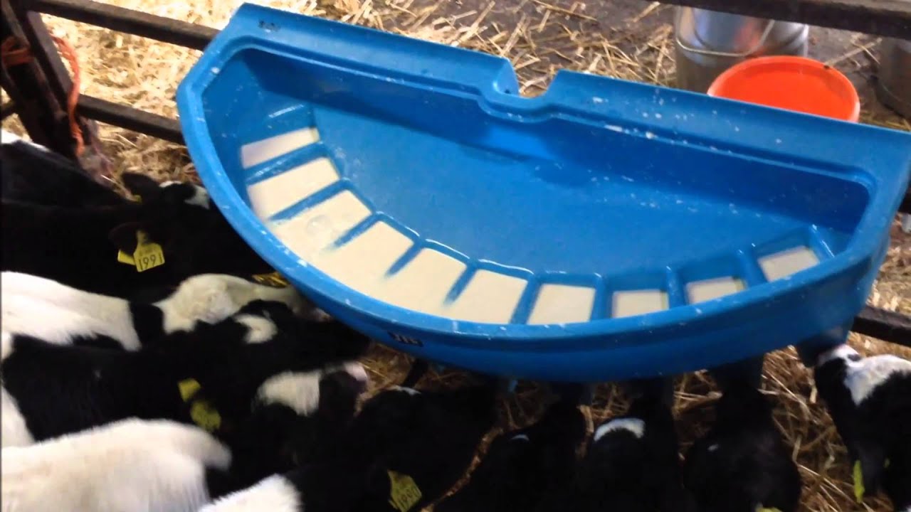 JFC Manufacturing - 10 Teat Calf Feeder - YouTube