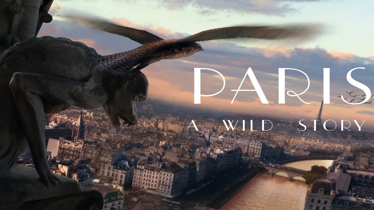 Paris: A Wild Story | Available Now - YouTube