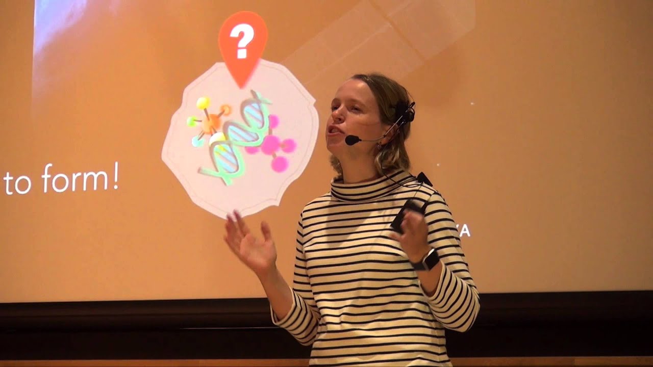 How Did We Begin? | Elizabeth Tasker | TEDxHokkaidoU - YouTube
