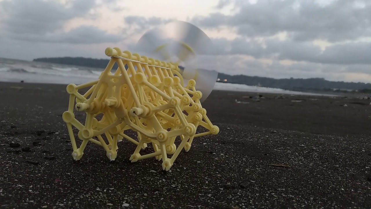 Strandbeest | Animaris Ordis Parvus - YouTube