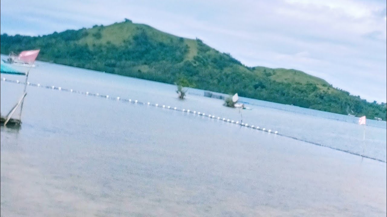 Aloha Beach resort Bohol - YouTube