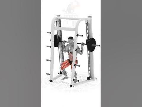 Приседания в тренажере Смита/Smith machine squats - YouTube