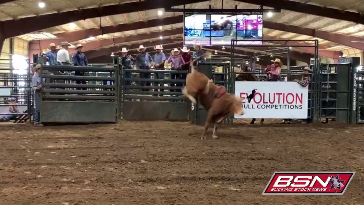 854 Free Ride - CO Cattle/Roth - YouTube
