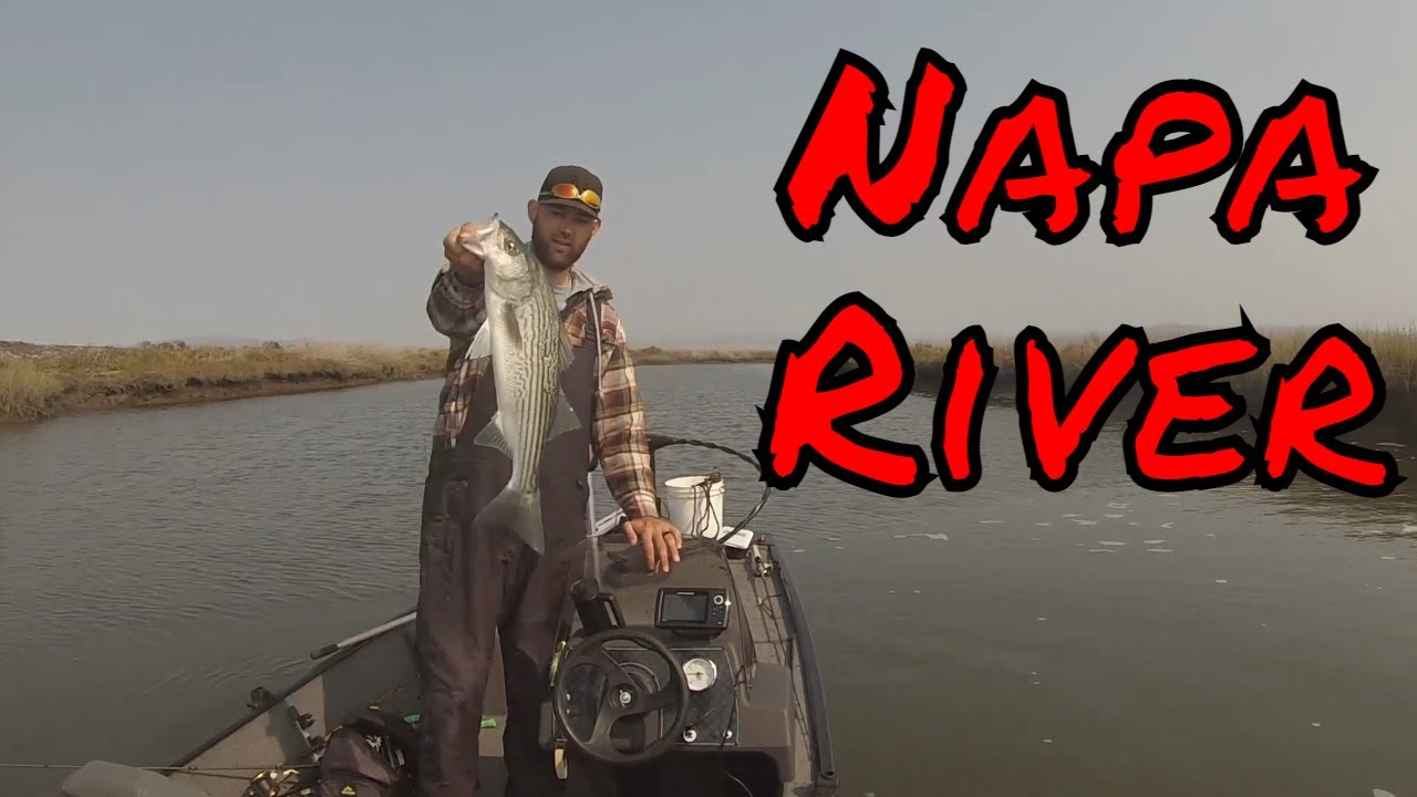 Napa River Fishing 2022 - YouTube