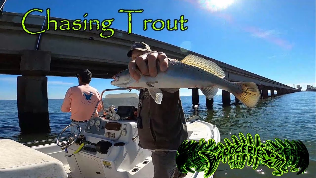CHASING TROUT - YouTube